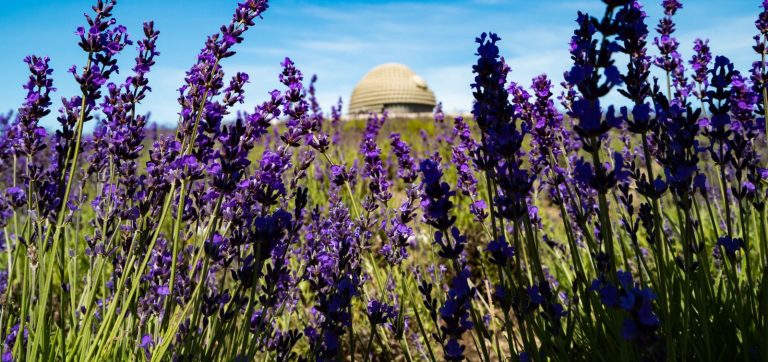 DIGITAL PAMPHLET – Visit Sapporo : The Official Travel Guide to ...