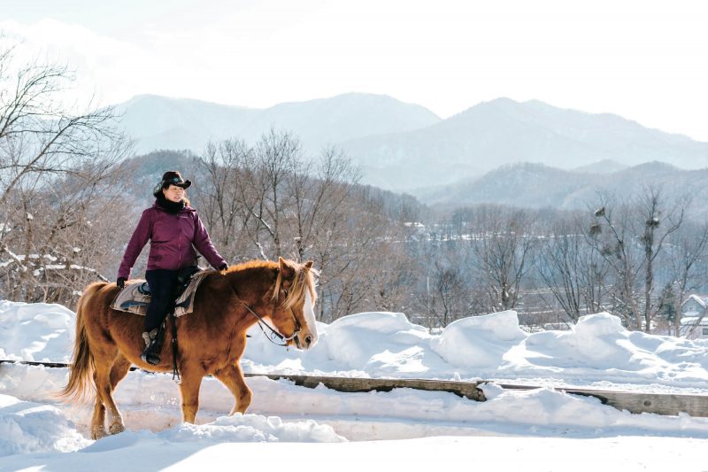 ACTIVITIES IN JOZANKEI – Visit Sapporo : The Official Travel Guide to ...