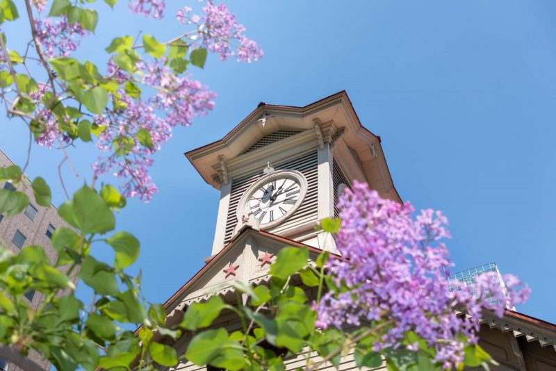 ART & CULTURE – Visit Sapporo : The Official Travel Guide to ...