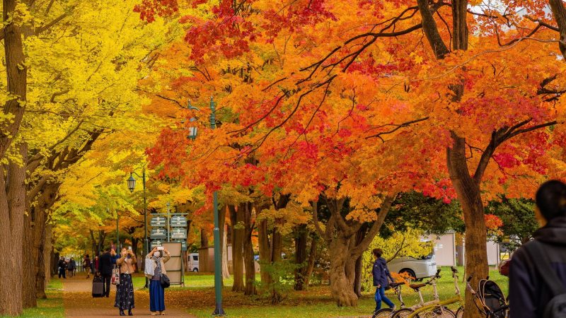 HOKKAIDO UNIVERSITY – Visit Sapporo : The Official Travel Guide to ...
