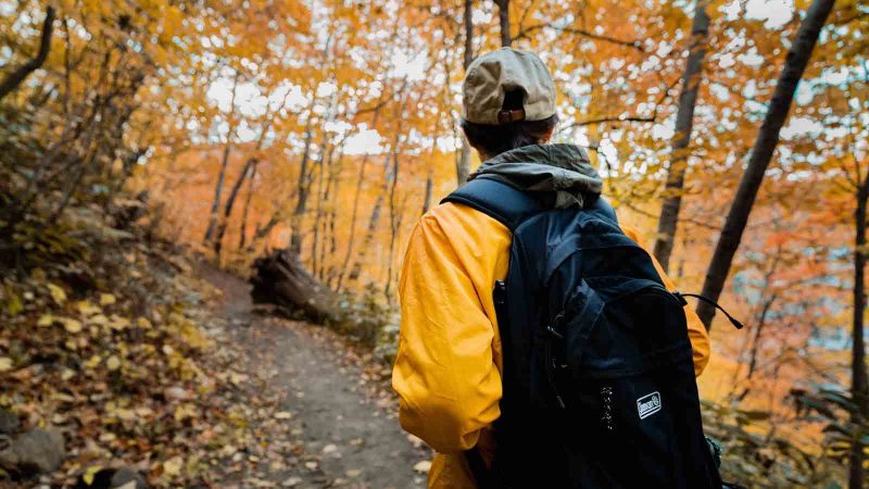 MT.MOIWA – Visit Sapporo : The Official Travel Guide to Sightseeing in ...