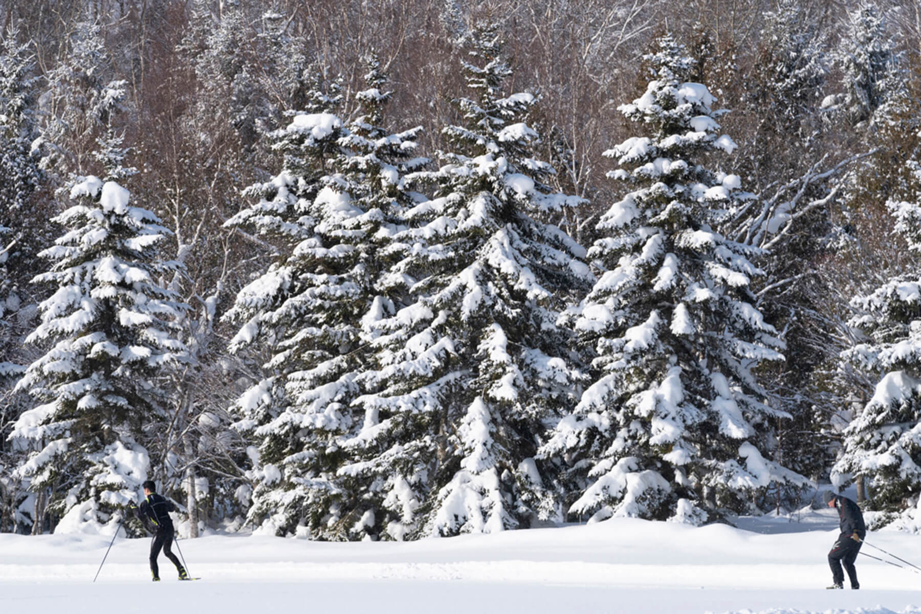 Two days of urban and outdoor fun: Get the best of both worlds in a ...