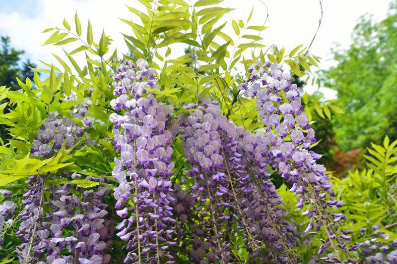 Tour of Sapporo’s sightseeing spots: Discover dynamic seasonal sights ...