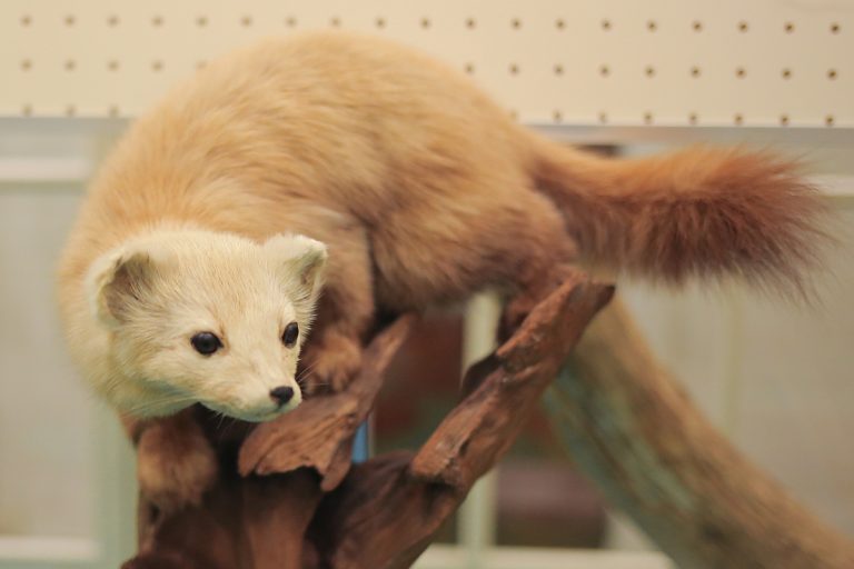 Tour of Sapporo’s sightseeing spots: Discover dynamic seasonal sights ...