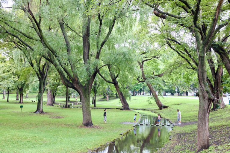 Tour of Sapporo’s sightseeing spots: Discover dynamic seasonal sights ...