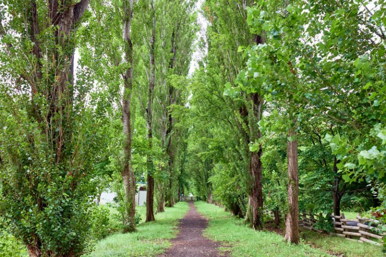 Tour of Sapporo’s sightseeing spots: Discover dynamic seasonal sights ...