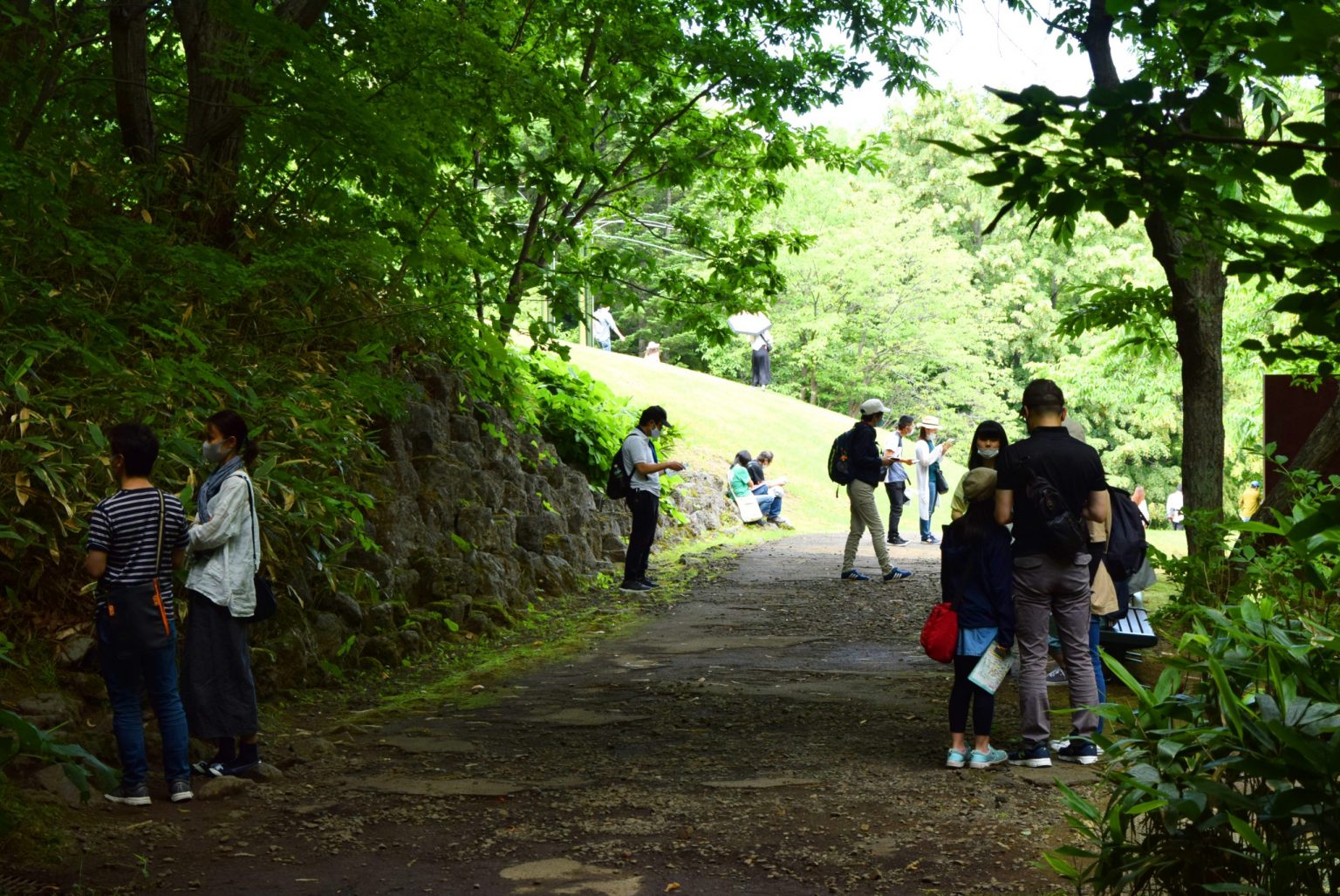 Tour of Sapporo’s sightseeing spots: Discover dynamic seasonal sights ...