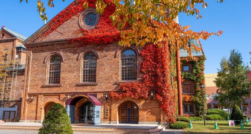 AUTUMN – Visit Sapporo : The Official Travel Guide to Sightseeing in ...