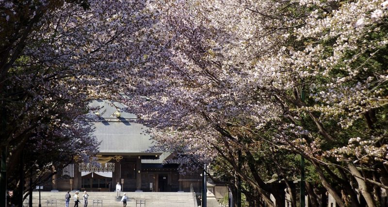 SPRING – Visit Sapporo : The Official Travel Guide to Sightseeing in ...