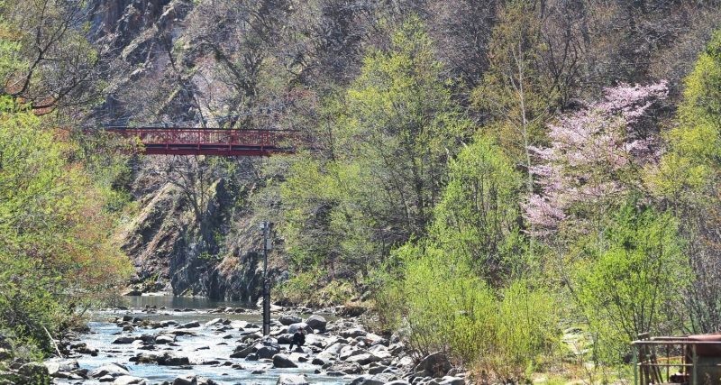 SPRING – Visit Sapporo : The Official Travel Guide to Sightseeing in ...