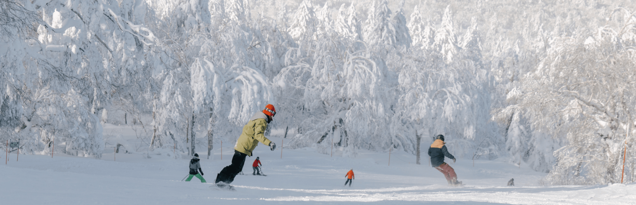 WINTER – Visit Sapporo : The Official Travel Guide to Sightseeing in ...