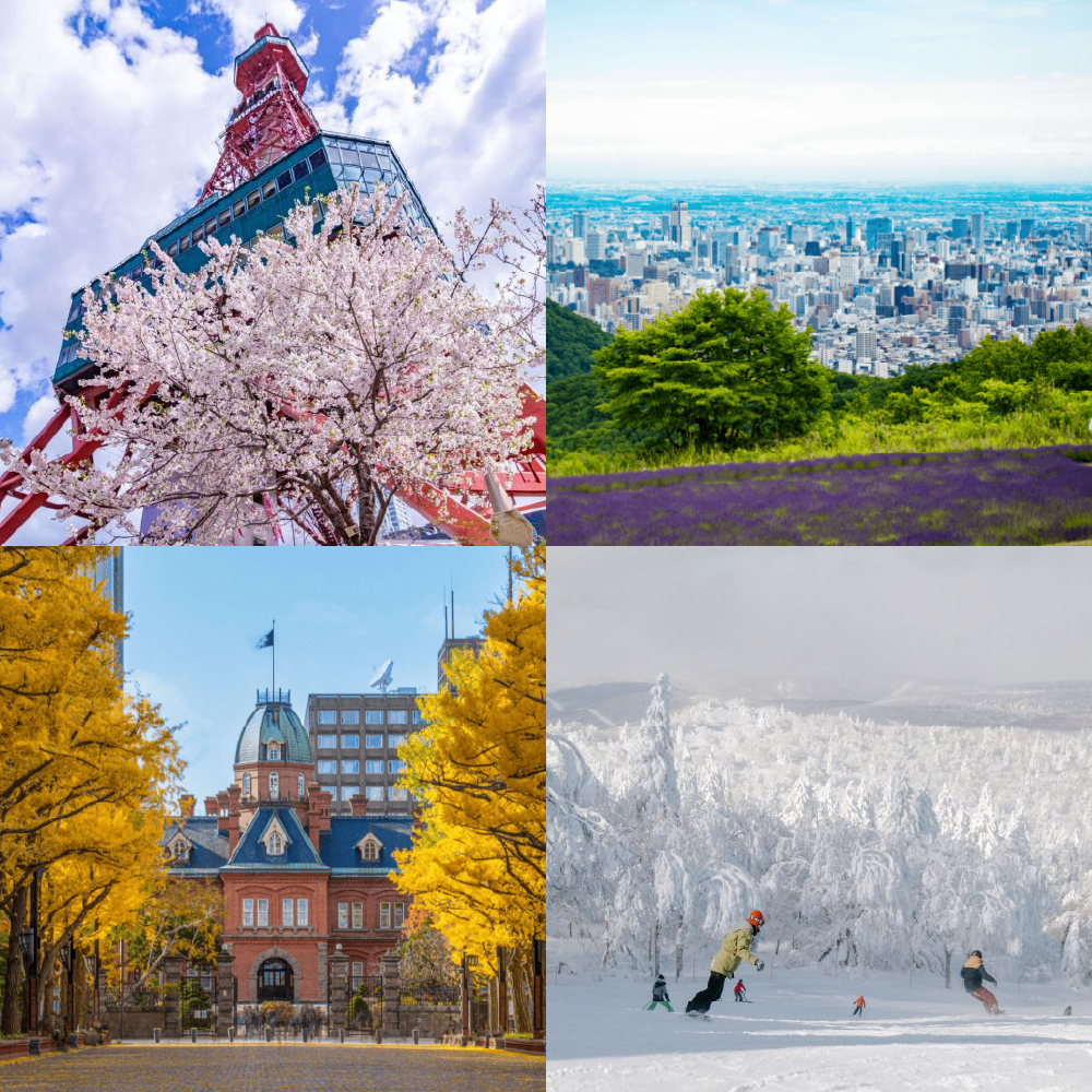Check out Sapporo’s must-see attractions for each season – Visit Sapporo : The Official Travel ...